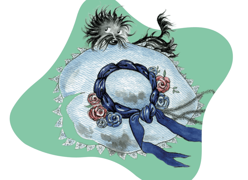 TuriTV | New Zealand Sign Language Teaching Resources