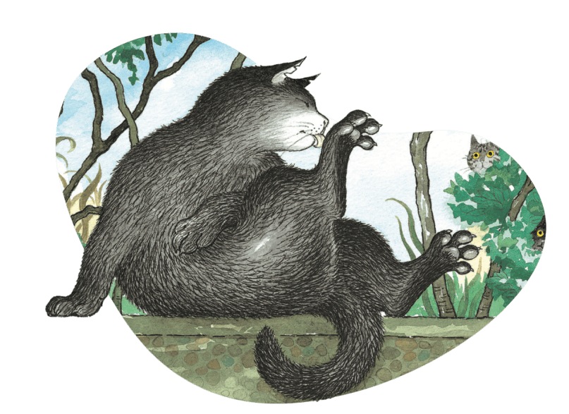 TuriTV | New Zealand Sign Language Teaching Resources